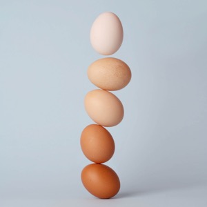 วิชา Mechanics AERO (KMITL) midterm | be-engineer