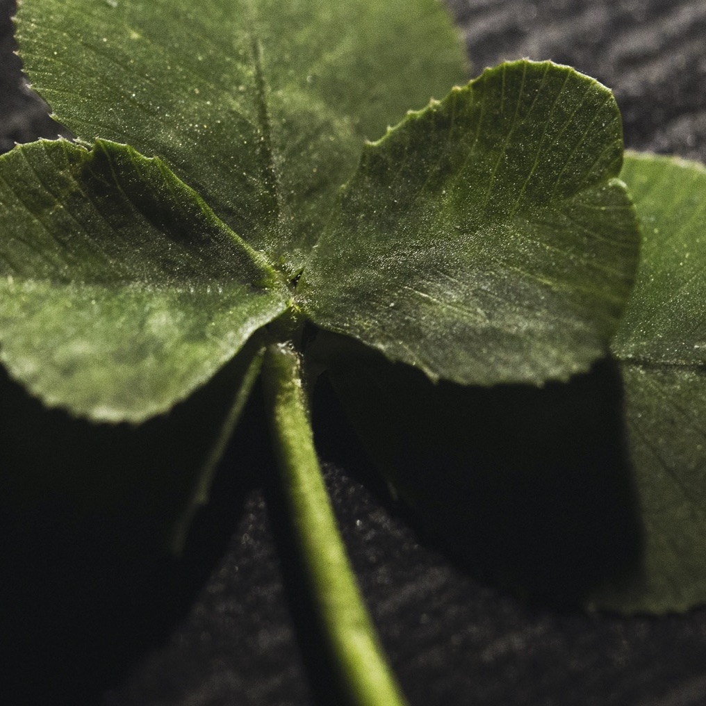 วิชา Cal2 (KKU) final | be-engineer